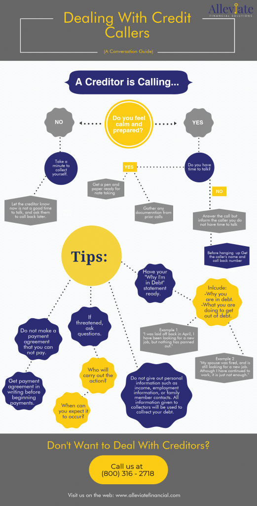 Alleviate Financial Solutions - Debt Settlement Infographics